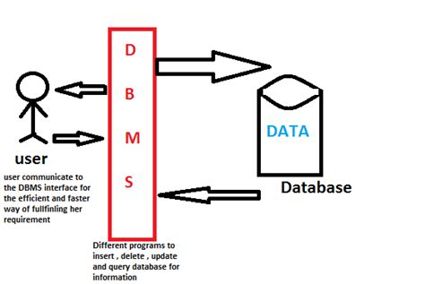 what is the importance of a database management system quora