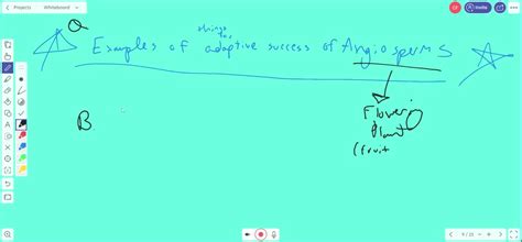⏩solved Adaptations That Correlate With The Adaptive Success Of… Numerade