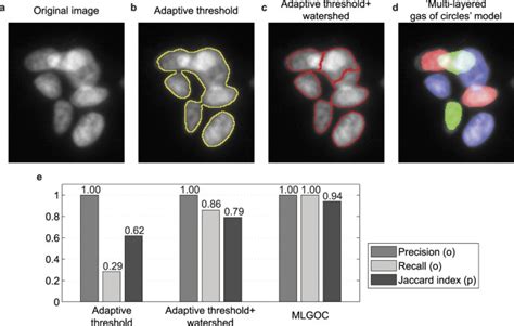 accurate morphology preserving segmentation of overlapping cells based