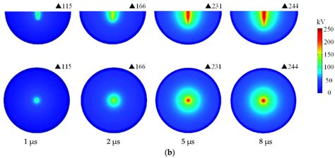 The Spatial Temporal Evolution Of The Dynamic Growth Model Of Discharge