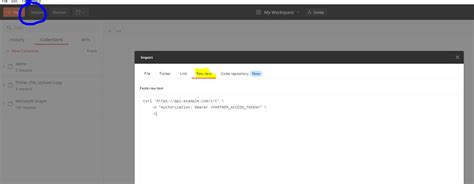 api postman and php curl for text raw with l options command ← php