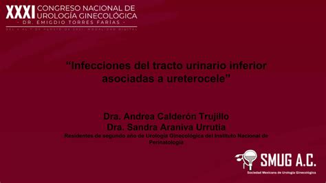 Infecciones Del Tracto Urinario Ureterocele 1 Pptx