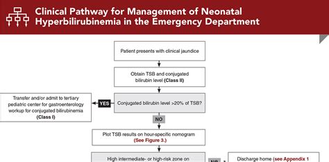 Neonatal Hyperbilirubinemia Diagnosis And Management In The Ed