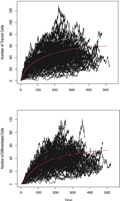 The Stochastic Trajectories For 100 Simulations Of The Stem Transit