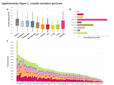 Supplementary Figure 1 Somatic Mutation Spectrum A Substitutions