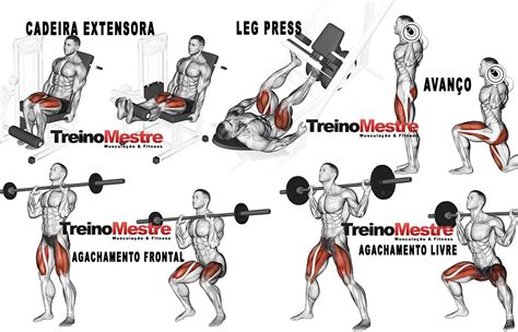 Os 8 Melhores Exercícios De Quadríceps Para Seu Treino