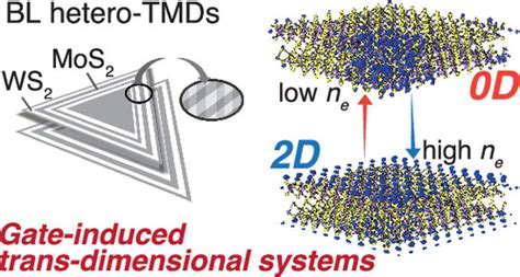 Acs Applied Nano Materials Vol 6 No 7 Acs Publications