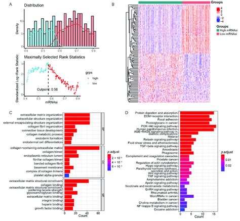 Differential Expression Analysis And Functional Enrichment Analysis