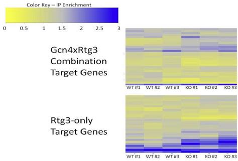 Enrichment Ratios From Chip Seq Experiments A Gcn4 Chip Seq In