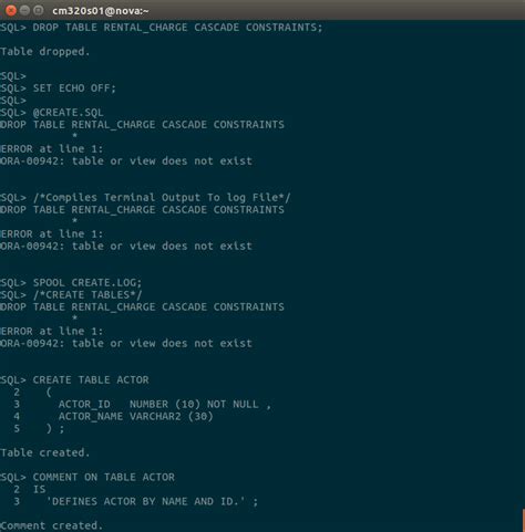 sql why is sqlplus executing commands from previous script multiple