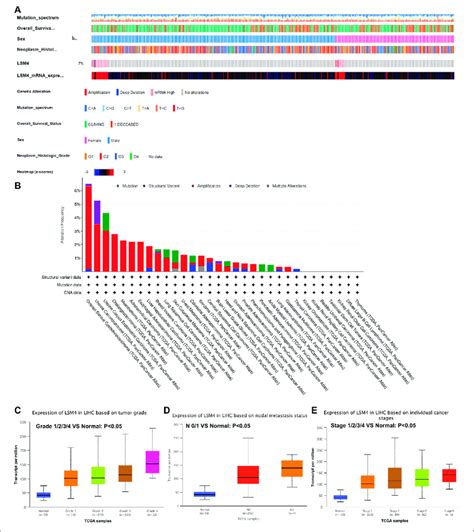 Lsm4 Genetic Alteration Status Based On Cbioportal And The
