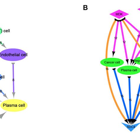 Ligand Receptor Network Analysis A Network Diagram Of The Detailed