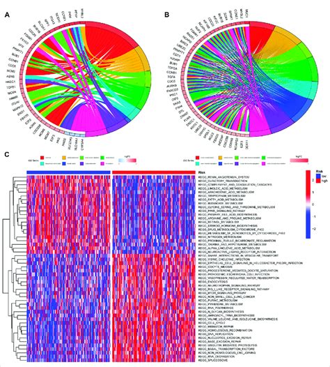 Enrichment Analysis Of Degs Among Patients With Different Risk Scores