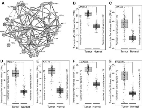 Six Hub Genes Identified From Ppi And Gene Co Expression Networks A