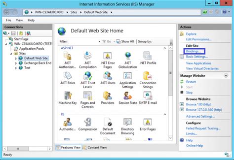 how to install a wildcard ssl certificate on iis csr install and binding