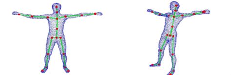 two views of our mesh model and its underlying skeleton download