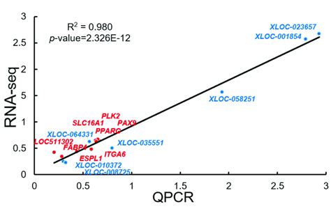Correlation Analysis Of Rna Seq And Qrt Pcr Results Download