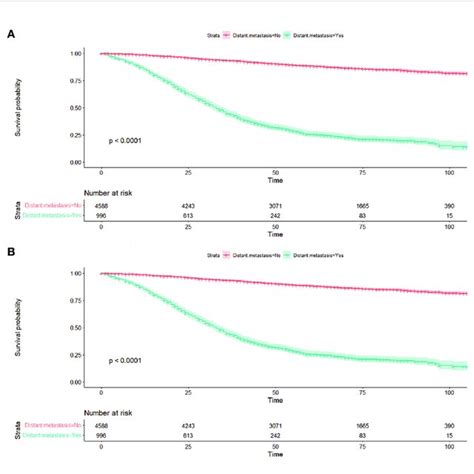 Kaplan Meier Curves Of Distant Metastasis For Os A And Css B In