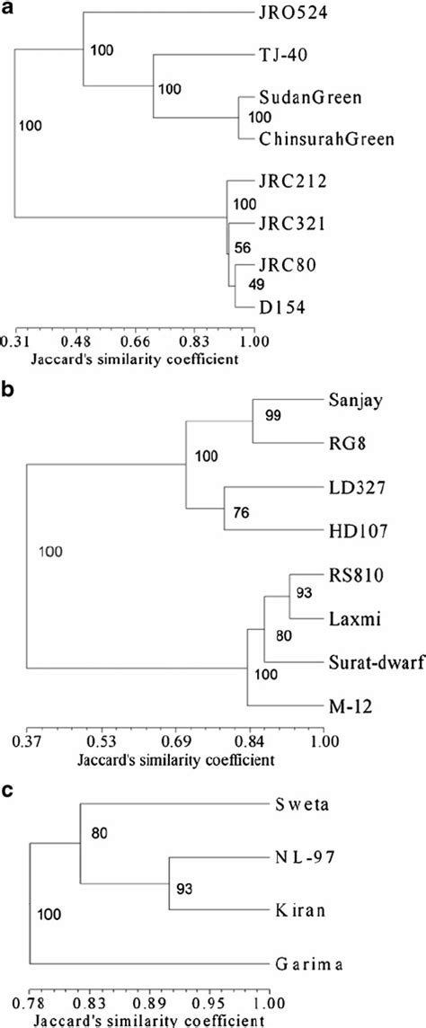 Upgma Cluster Analysis Based Dendrogram Showing Genetic Relationship
