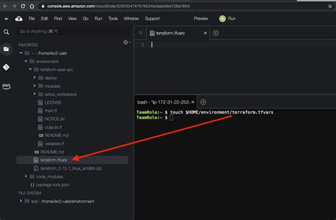 setup auto tfvars terraform on aws workshop
