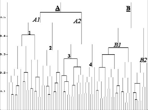 Dendrogram Resulting From The Cluster Analysis Of The Entire Relevés