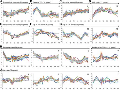 Gene Expression Profiles Of Differentially Expressed Transcription