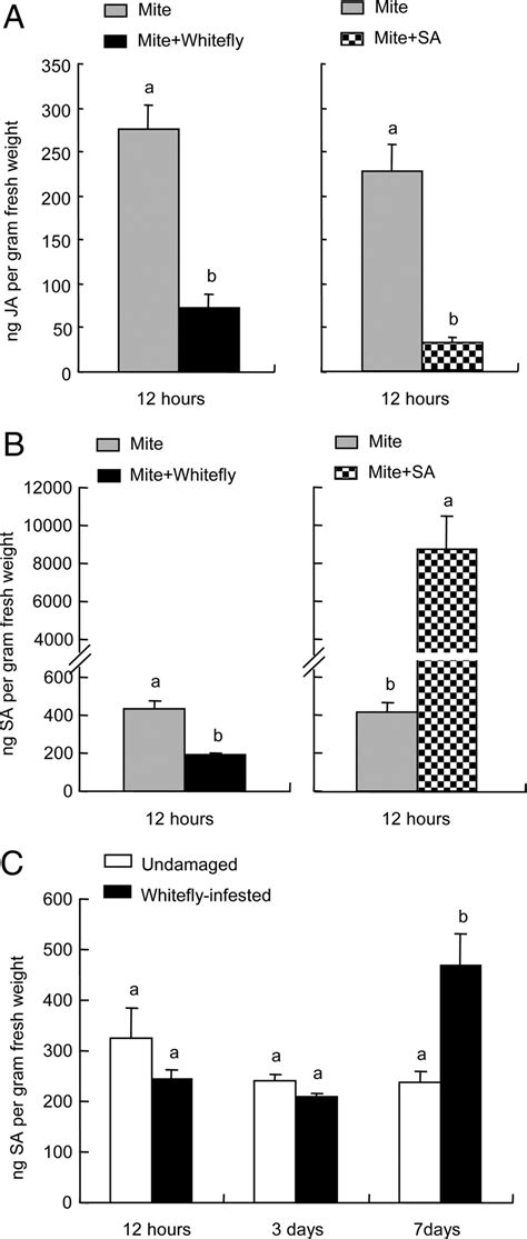 Phytohormone Analysis Of Plants Of Different Treatments Quantification