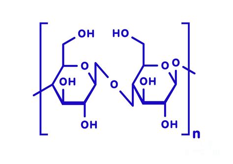 Structural Formula Of Cellulose
