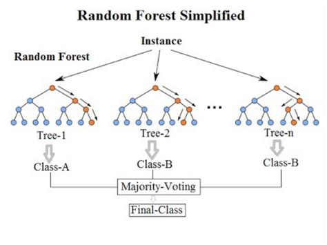 random forest simple explanation understanding the random