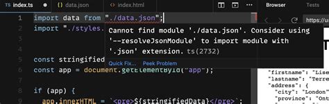 strongly typed json in typescript just some dev