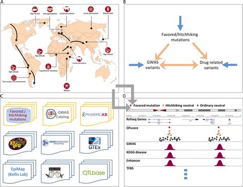 Poptradeoff A Database For Exploring Population Specificity Of