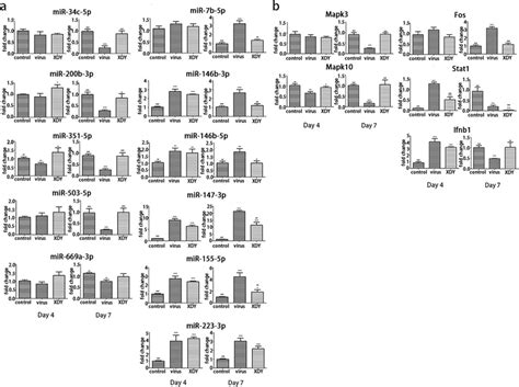 Qrt Qpcr Verification For Some Differentially Expressed Mirnas And