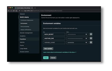use access and share environment variables on netlify