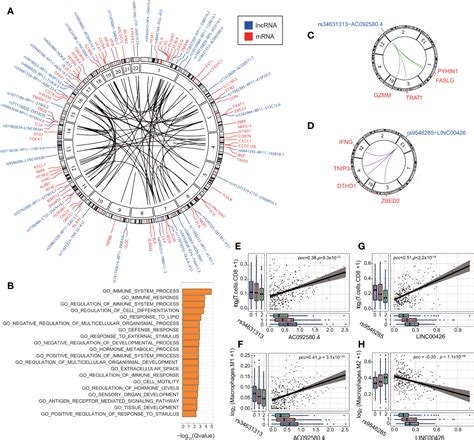 Frontiers Cis And Trans Acting Expression Quantitative Trait Loci Of