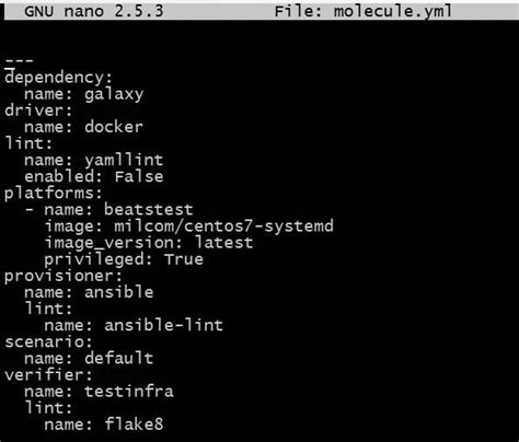 unit testing ansible code with molecule and docker containers