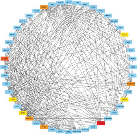 The Cytohub Software Package Shows The Top 10 Hub Genes In The Black
