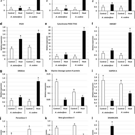 Relative Gene Expression Levels Of Selected Transcripts Including