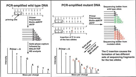 Digital Detection Of Genetic Mutations Using Spc Sequencing