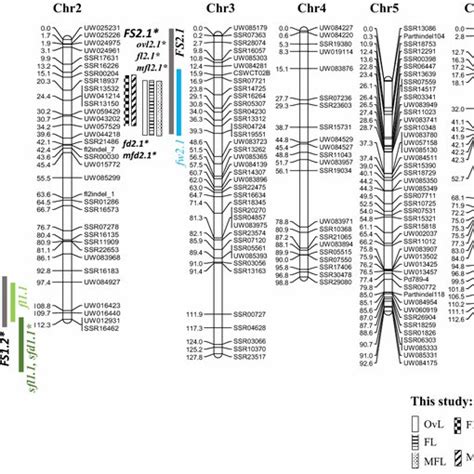 Linkage Map And Chromosomal Locations Of Qtl For Fruit Size Ovl Fl