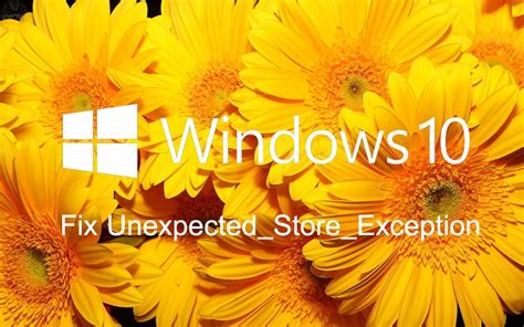 how to fix unexpected store exception in windows 10 driver talent