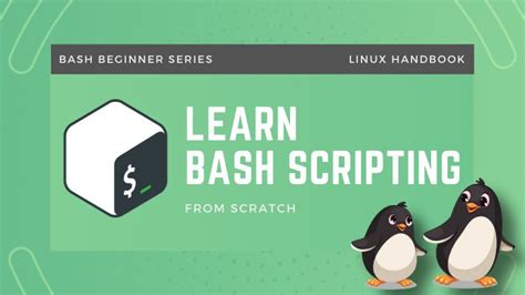 case statements in bash examples explained