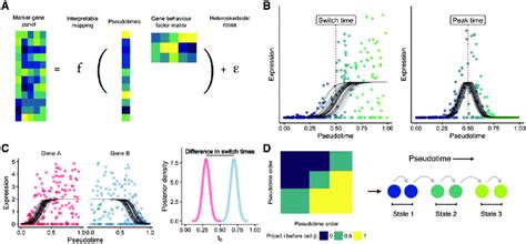 Learning Single Cell Pseudotimes With Parametric Models A Ouija