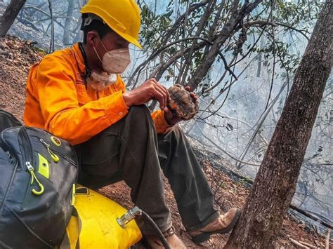Incendios Forestales Más Que Solo Hectáreas Siniestradas