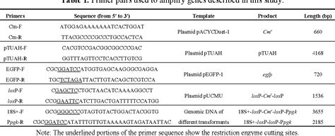Table 1 From Application Of The Cre Loxp Site Specific Recombination