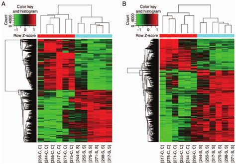 Hierarchical Clustering A Lncrnas And B Mrnas Differentially