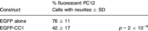Effect Of Over Expression Of Camsap1 Cc1 On Neurite Extension By Pc12
