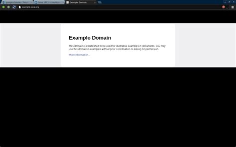[solved] prevent white screen before loading page in 9to5answer