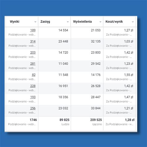 Wyniki Kampanii Violetacebulak Facebook Ads Expert