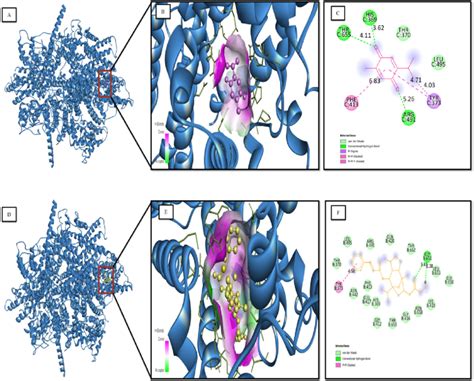 A B Represents 3d Interaction Of Docked Complex Of Tq Trpc4 C 2d