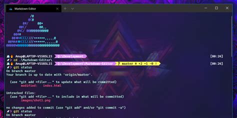 windows terminal themes beautify your windows terminal 🦄
